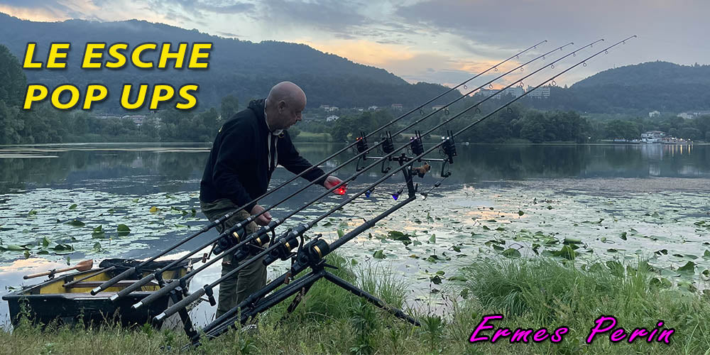 Le Esche Pop-Ups di Ermes Perin